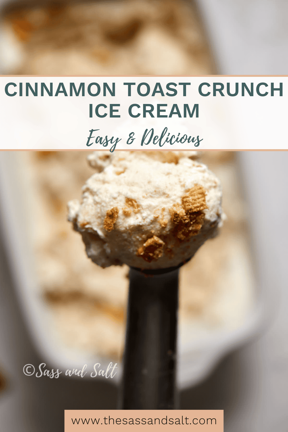 Homemade Cinnamon Toast Crunch Ice Cream - Sass and Salt